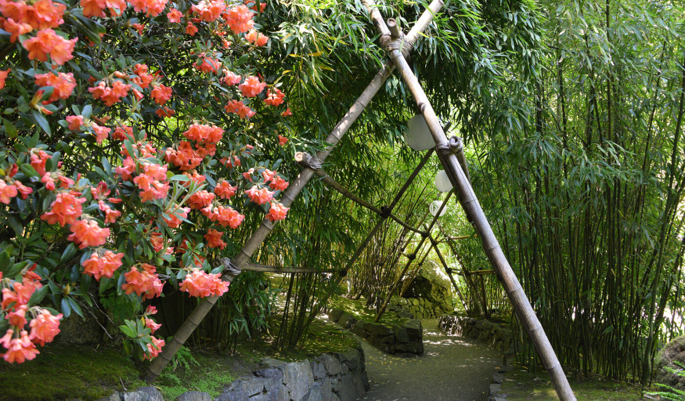 What's in bloom now? Garden updates May 26 - June 2 - The Butchart Gardens