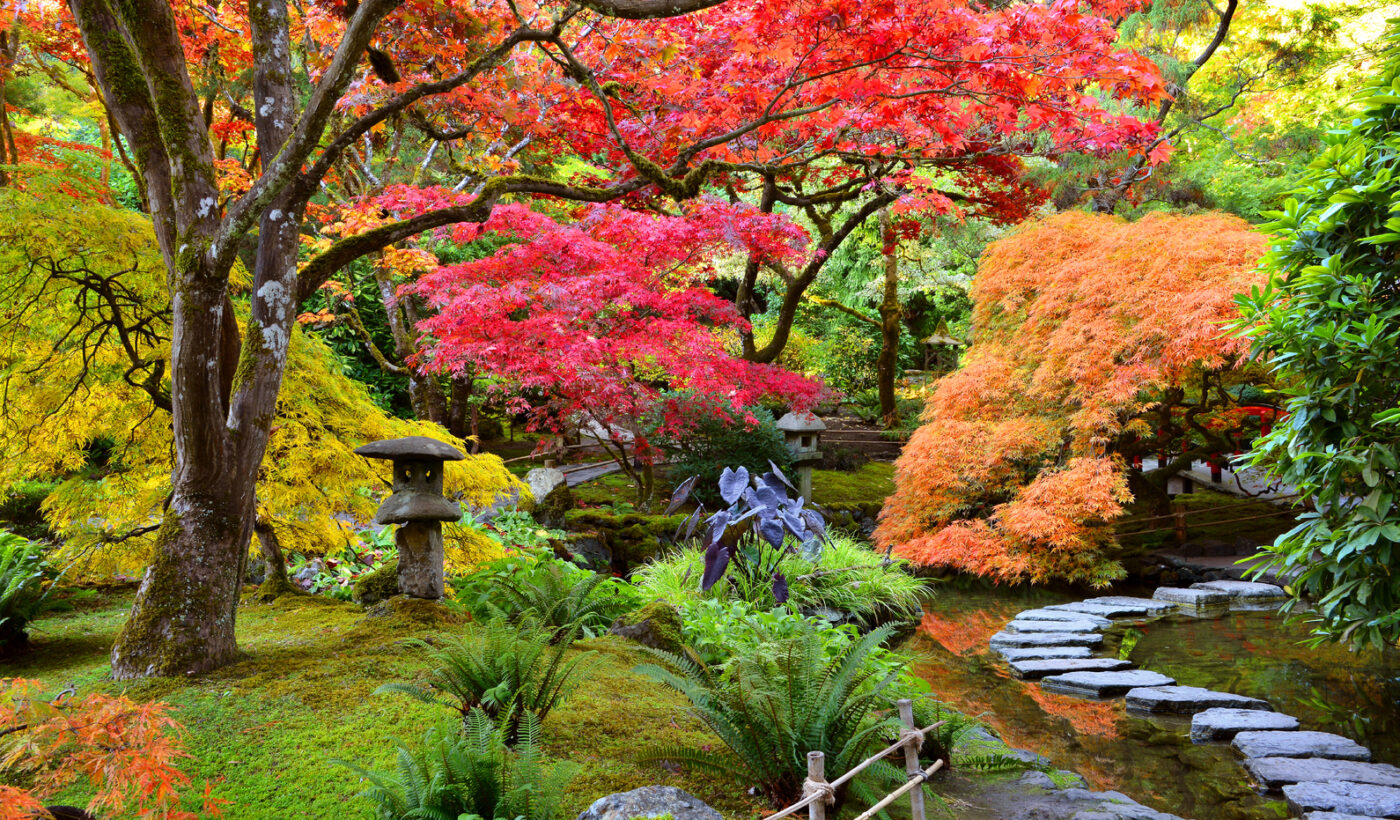 What's in Bloom Now? Garden Updates October 20 - 26 - The Butchart Gardens