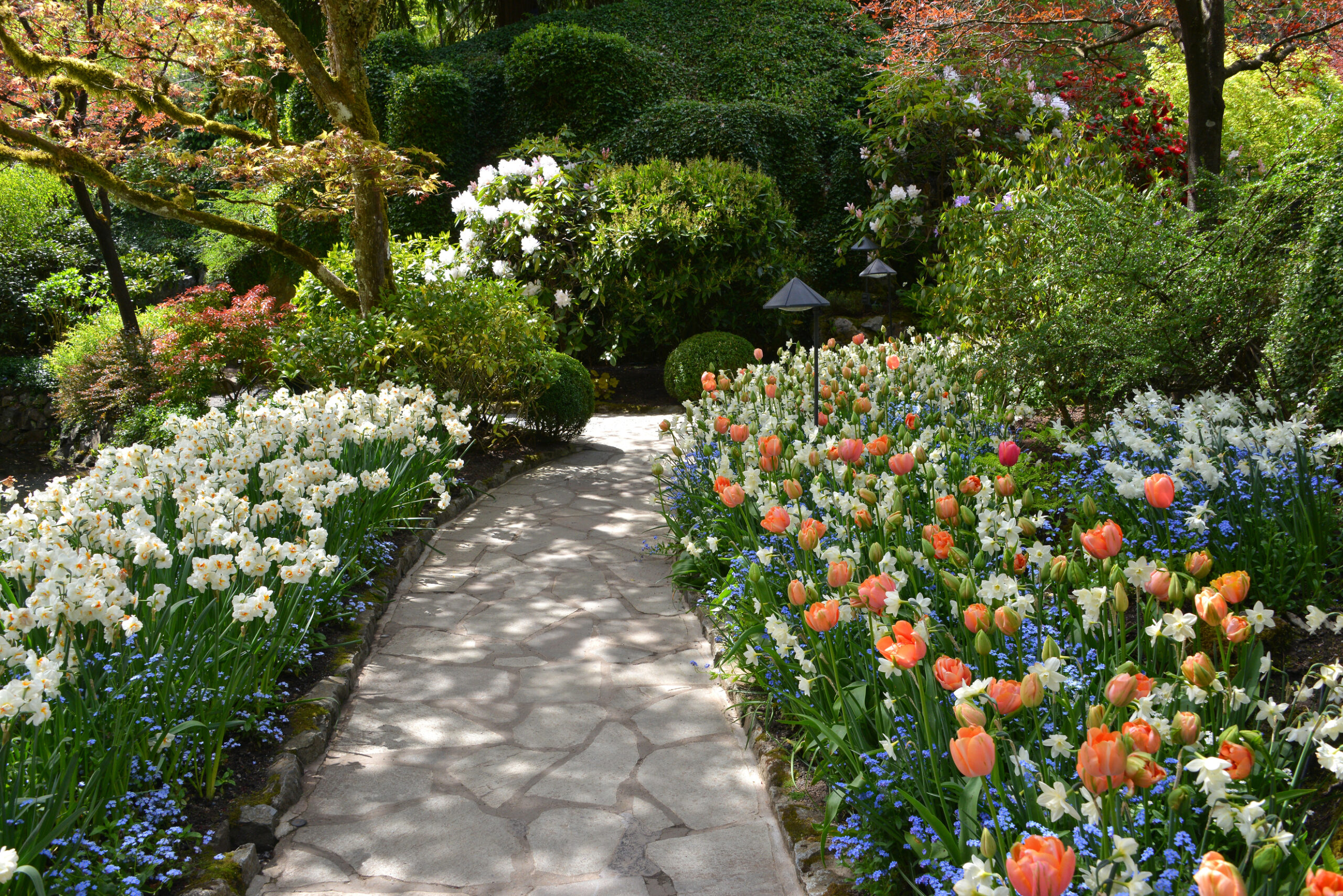 Spring Garden Insights - The Butchart Gardens