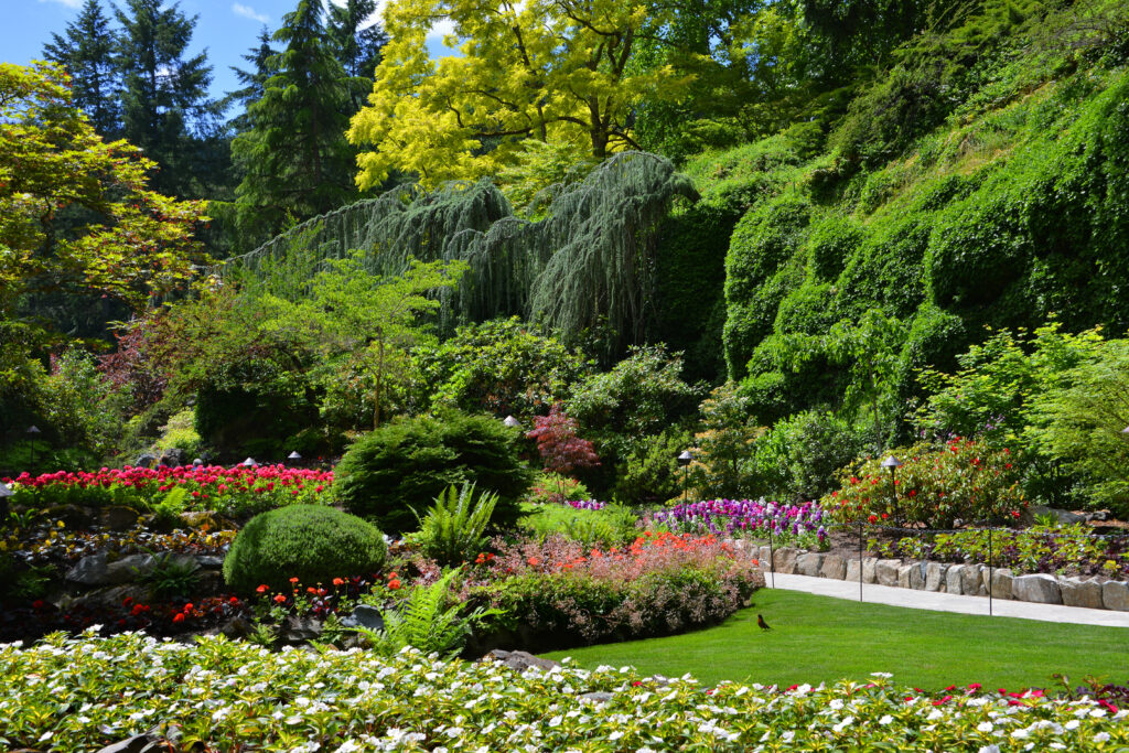 Summer Garden Insights - The Butchart Gardens