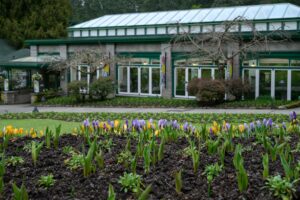 The Blue Poppy Restaurant - The Butchart Gardens