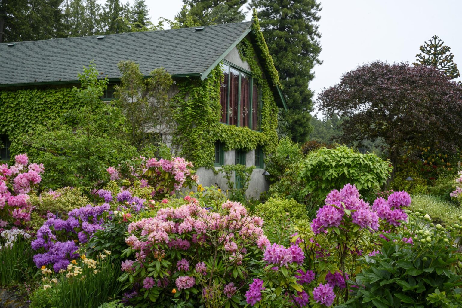Spring Garden Insights 2025 - The Butchart Gardens