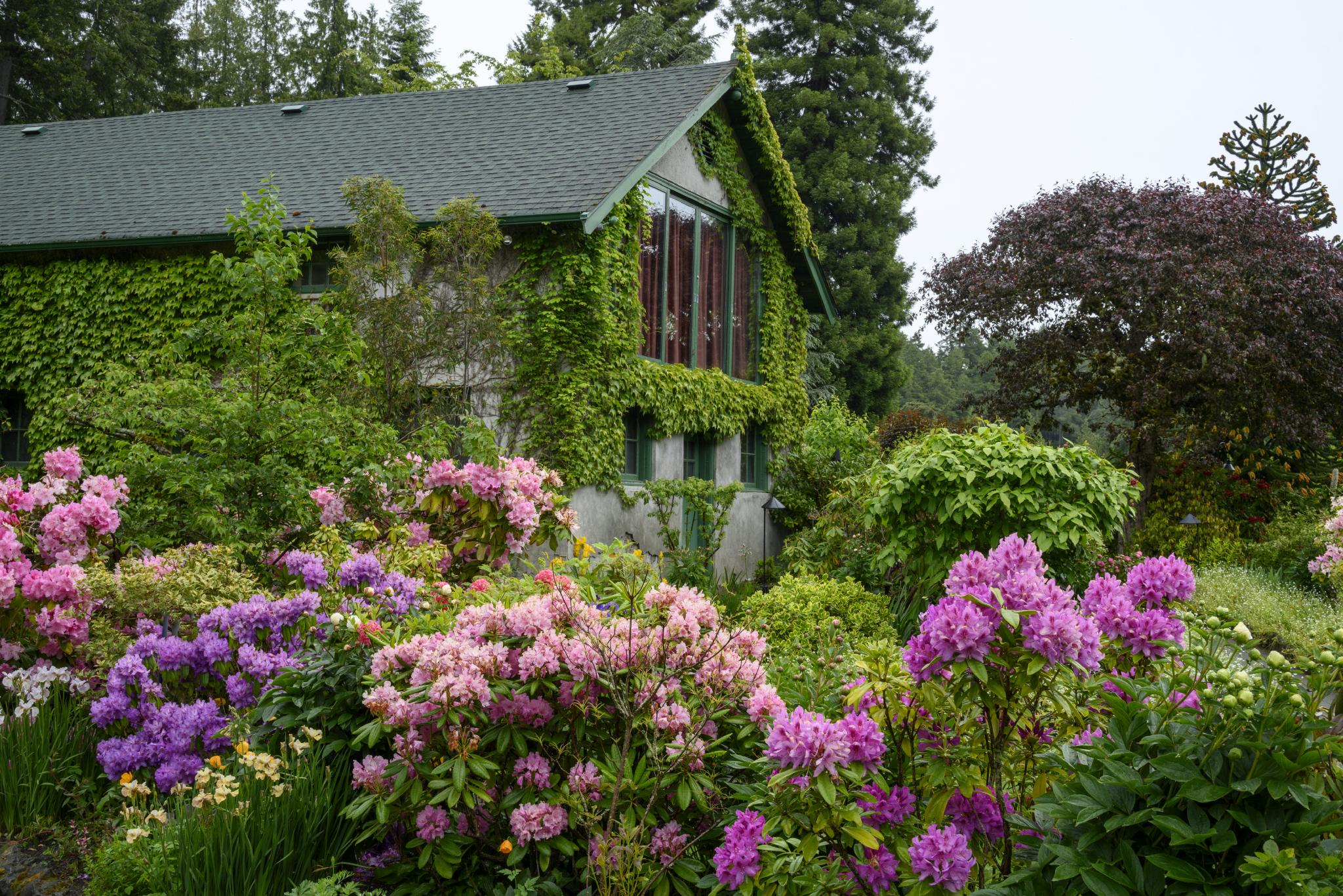 Spring Garden Insights 2025 - The Butchart Gardens