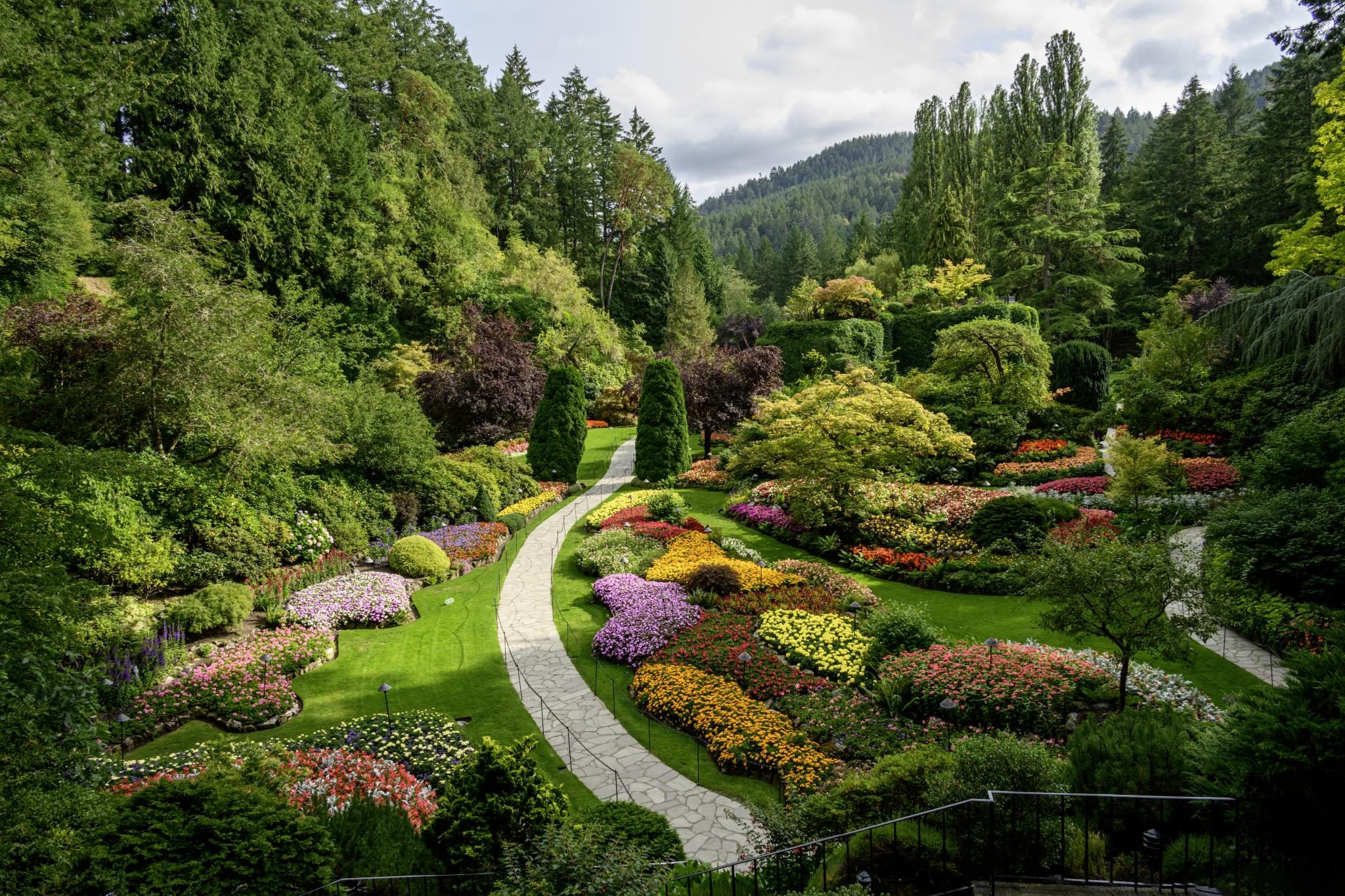 Summer Garden Insights 2025 - The Butchart Gardens
